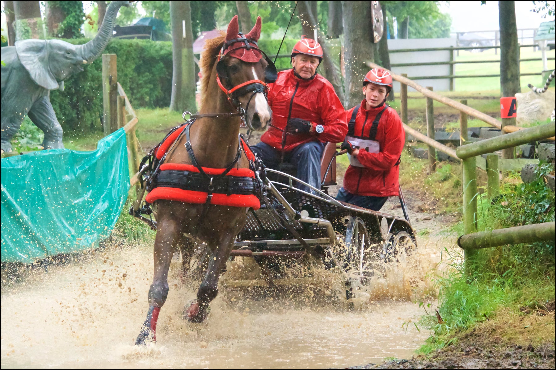 Zilco Classic Driving Harness – Riding & Harness Stuff