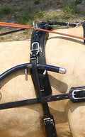 Zilco Classic Driving Harness – Riding & Harness Stuff
