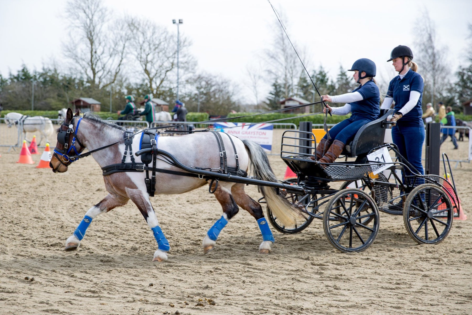 Driving Harness Sets – Riding & Harness Stuff