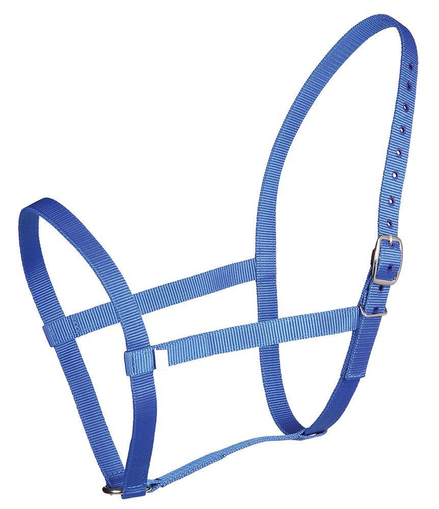 Zilco Carriage Driving Harnesses UK | Harness Stuff – Riding & Harness ...