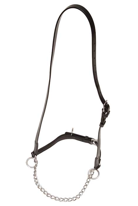 Zilco Chain Nose Pole Halter from Zilco – Riding & Harness Stuff