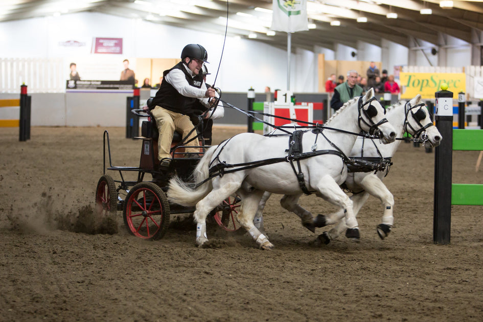 Zilco SL Pair Driving Harness Mini, Shetland and Small Pony from Zilco ...