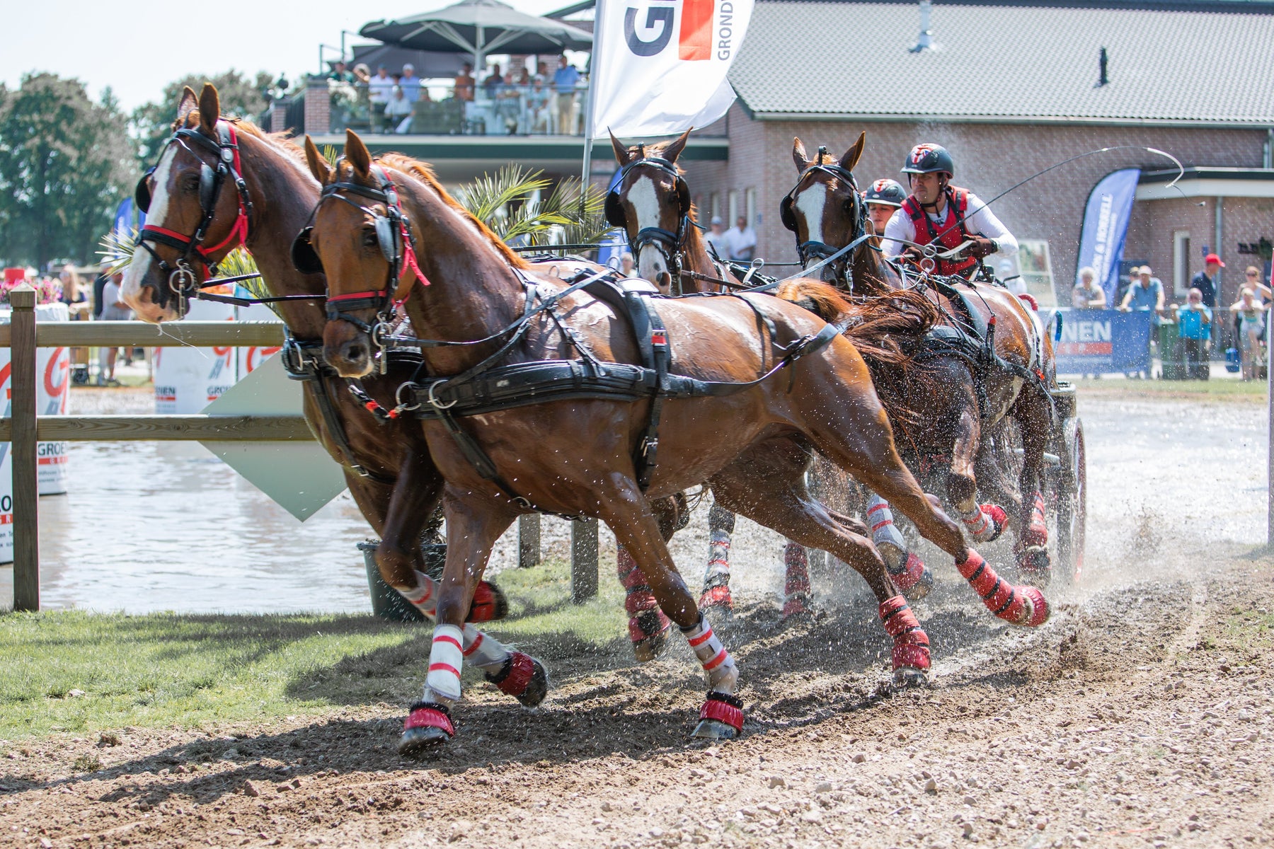 Zilco ZGB Team Harness from Zilco – Riding & Harness Stuff