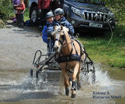 Zilco Classic Driving Harness – Riding & Harness Stuff