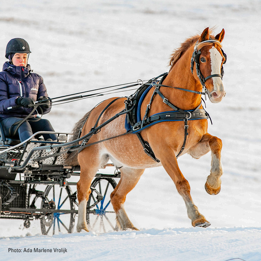 Zilco Classic Driving Harness – Riding & Harness Stuff