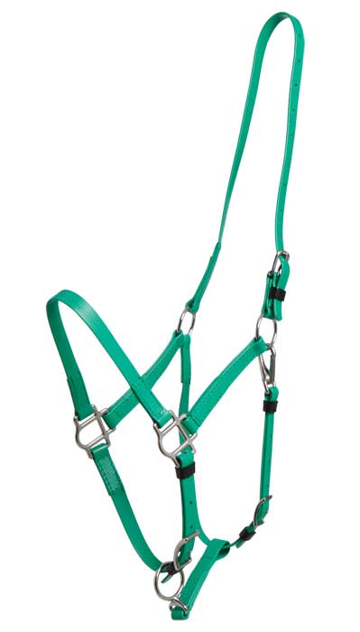 Zilco Deluxe Endurance Bridle 2 Part Stainless Steel Fitting - Halter ...