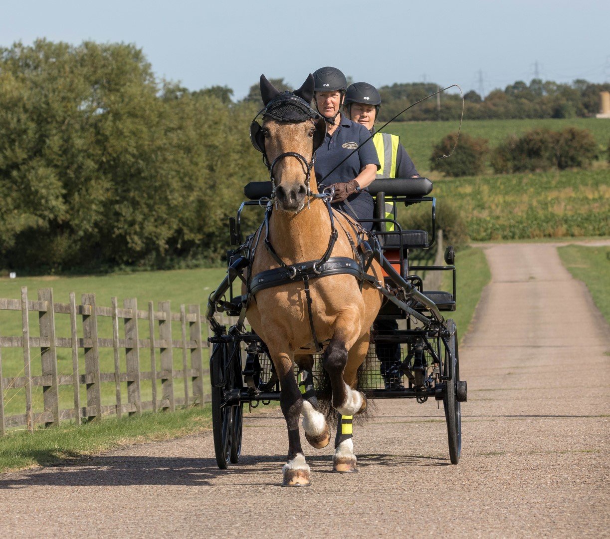 Zilco SL PLus from Zilco – Riding & Harness Stuff