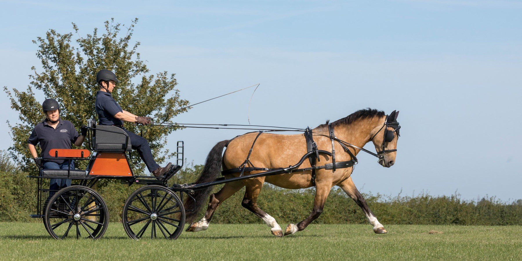 Zilco SL PLus from Zilco – Riding & Harness Stuff