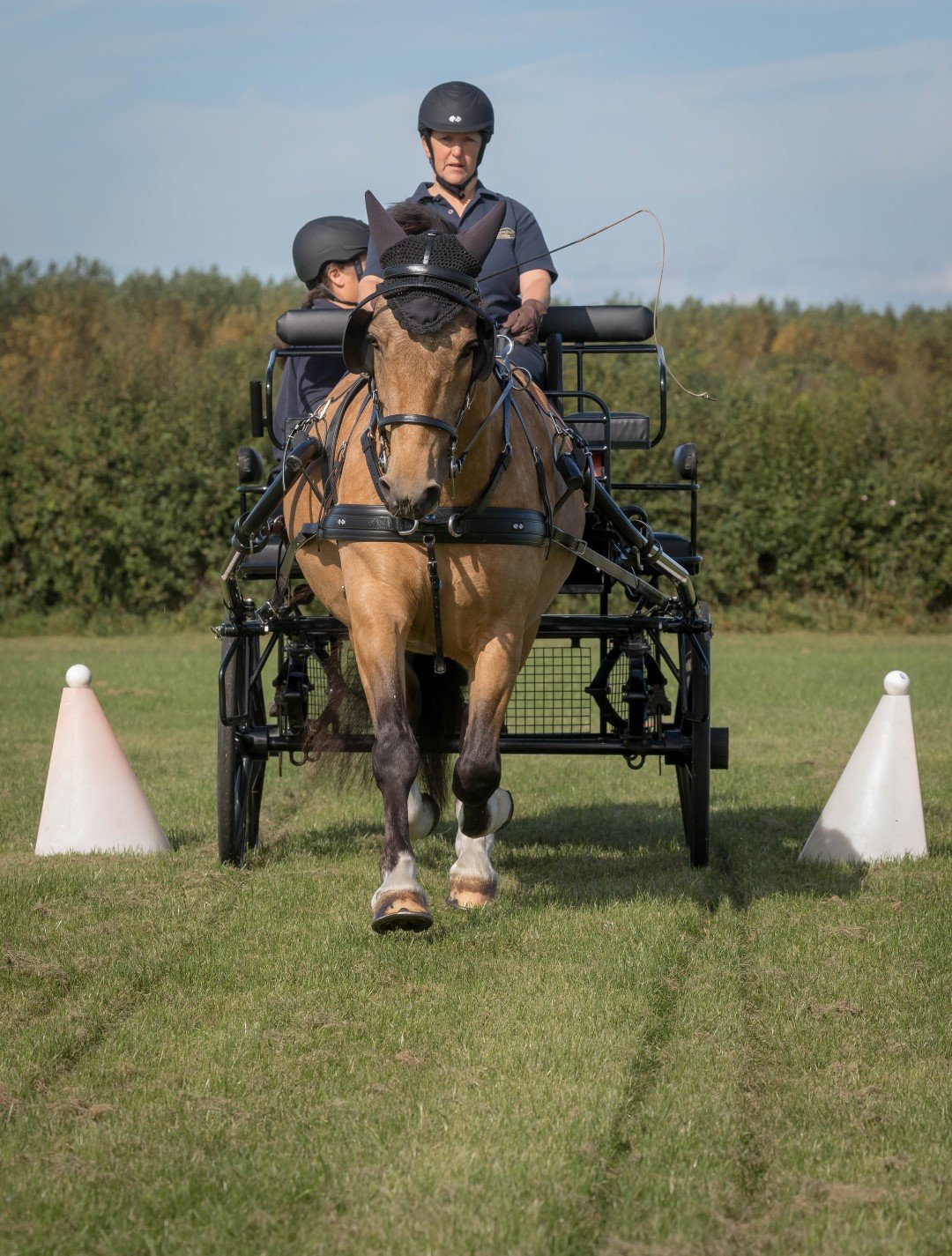 Zilco SL PLus from Zilco – Riding & Harness Stuff