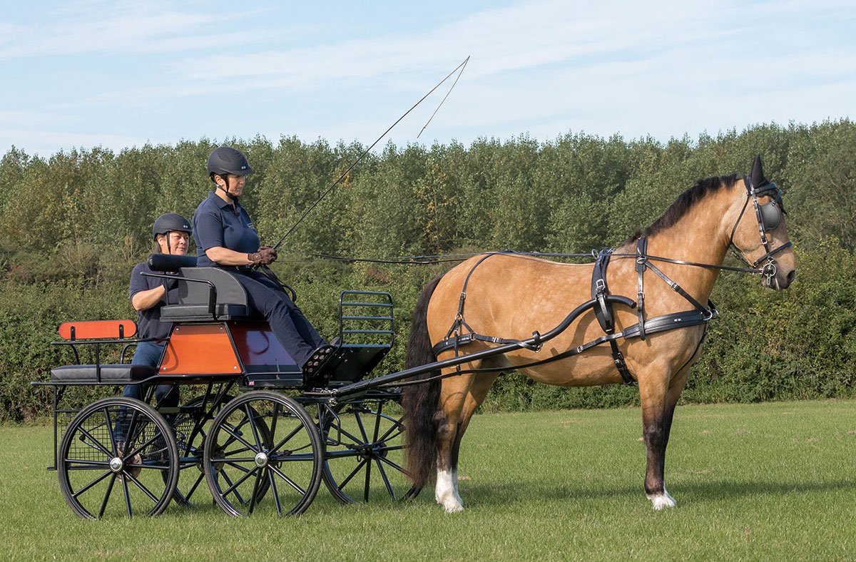 Zilco SL PLus from Zilco – Riding & Harness Stuff