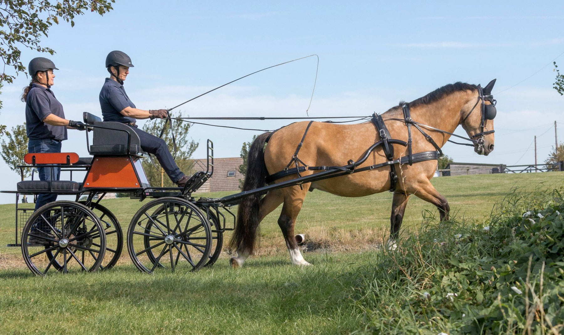 Zilco SL PLus from Zilco – Riding & Harness Stuff